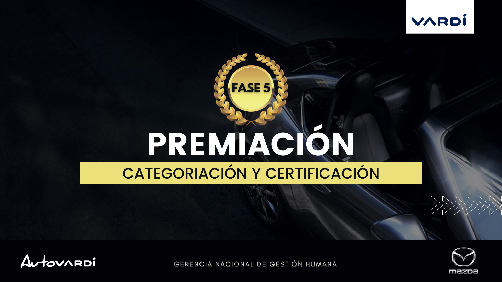 Inicio - Grupo Vardi